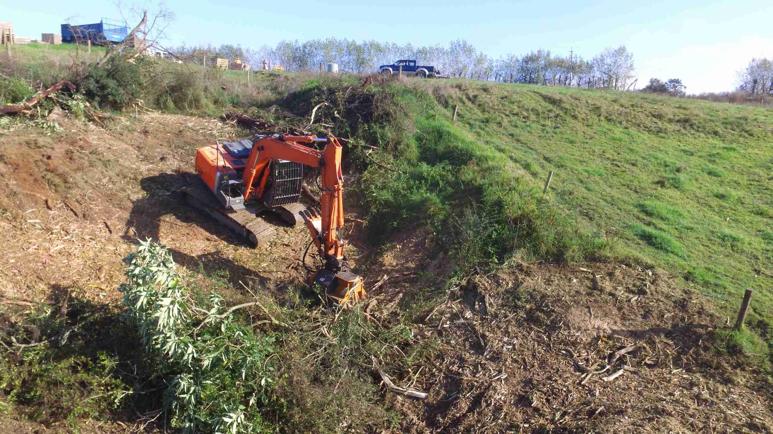 Wetland and revegetation projects - NativeAwa