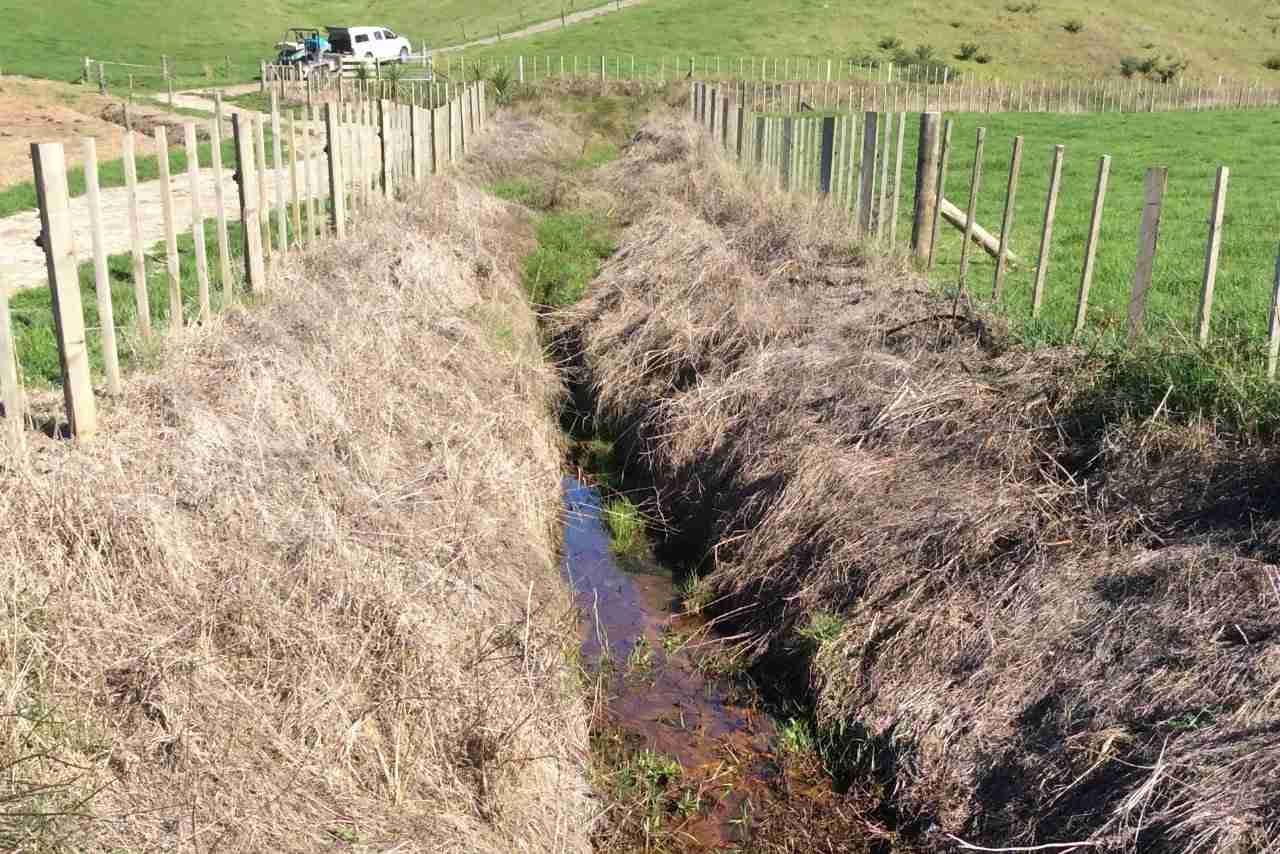 Rank grass is better than none - NativeAwa